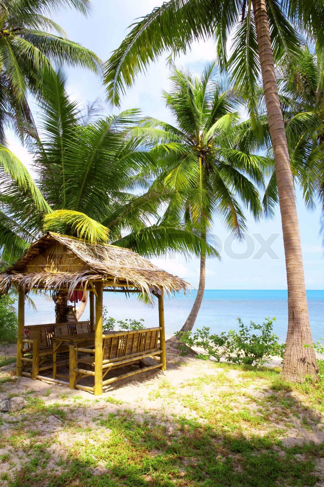 palms and hut | Stock image | Colourbox