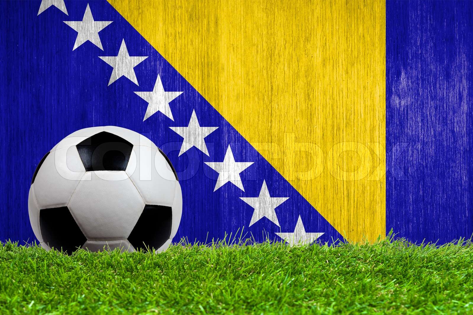 Bosnian Soccer