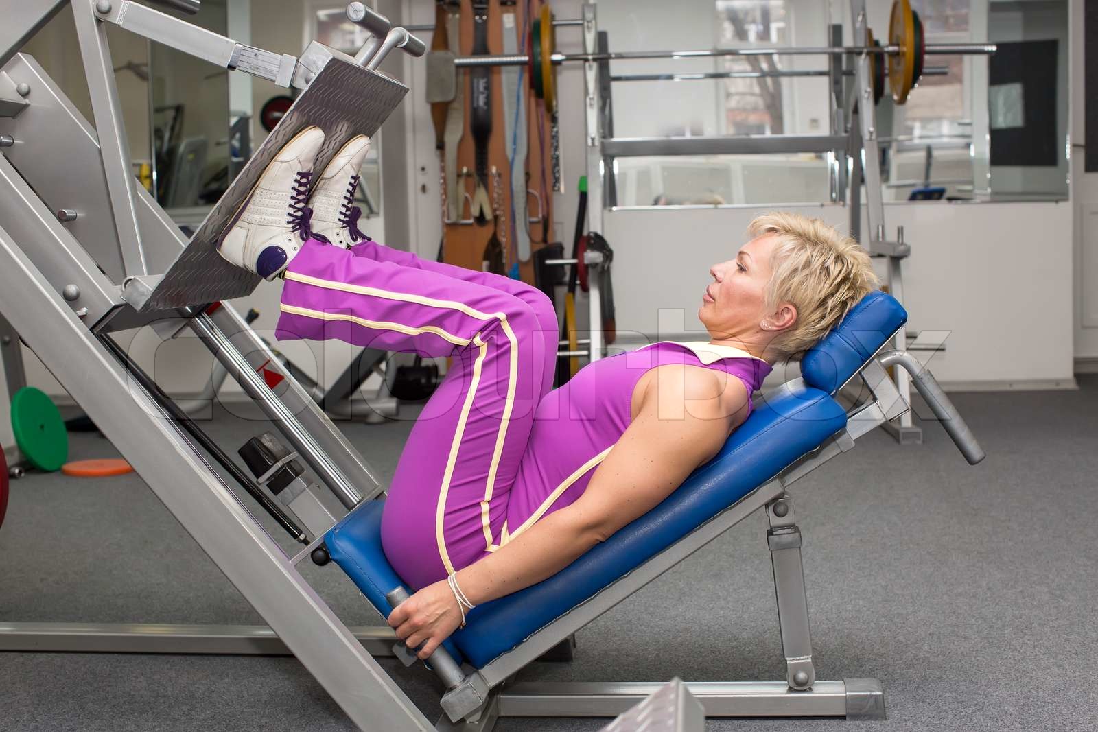 adult female bodybuilding competitions in the gym | Stock image | Colourbox