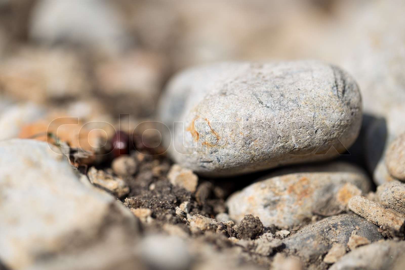 stones in nature | Stock image | Colourbox