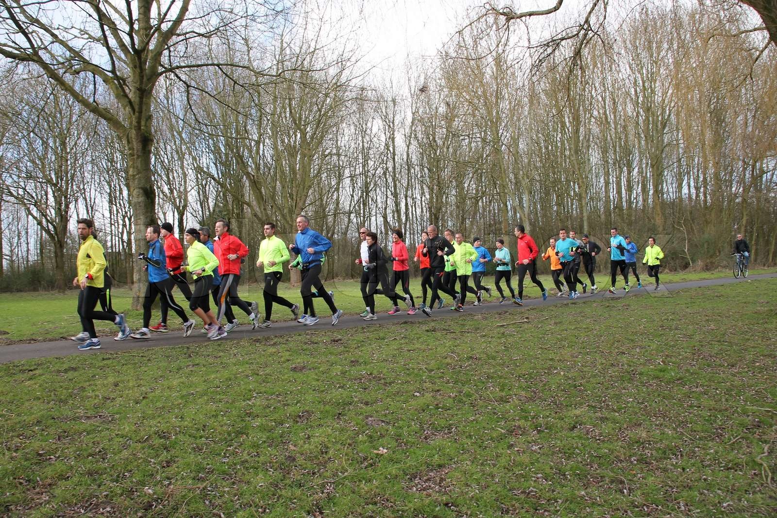 Runners and a biker. | Stock image | Colourbox