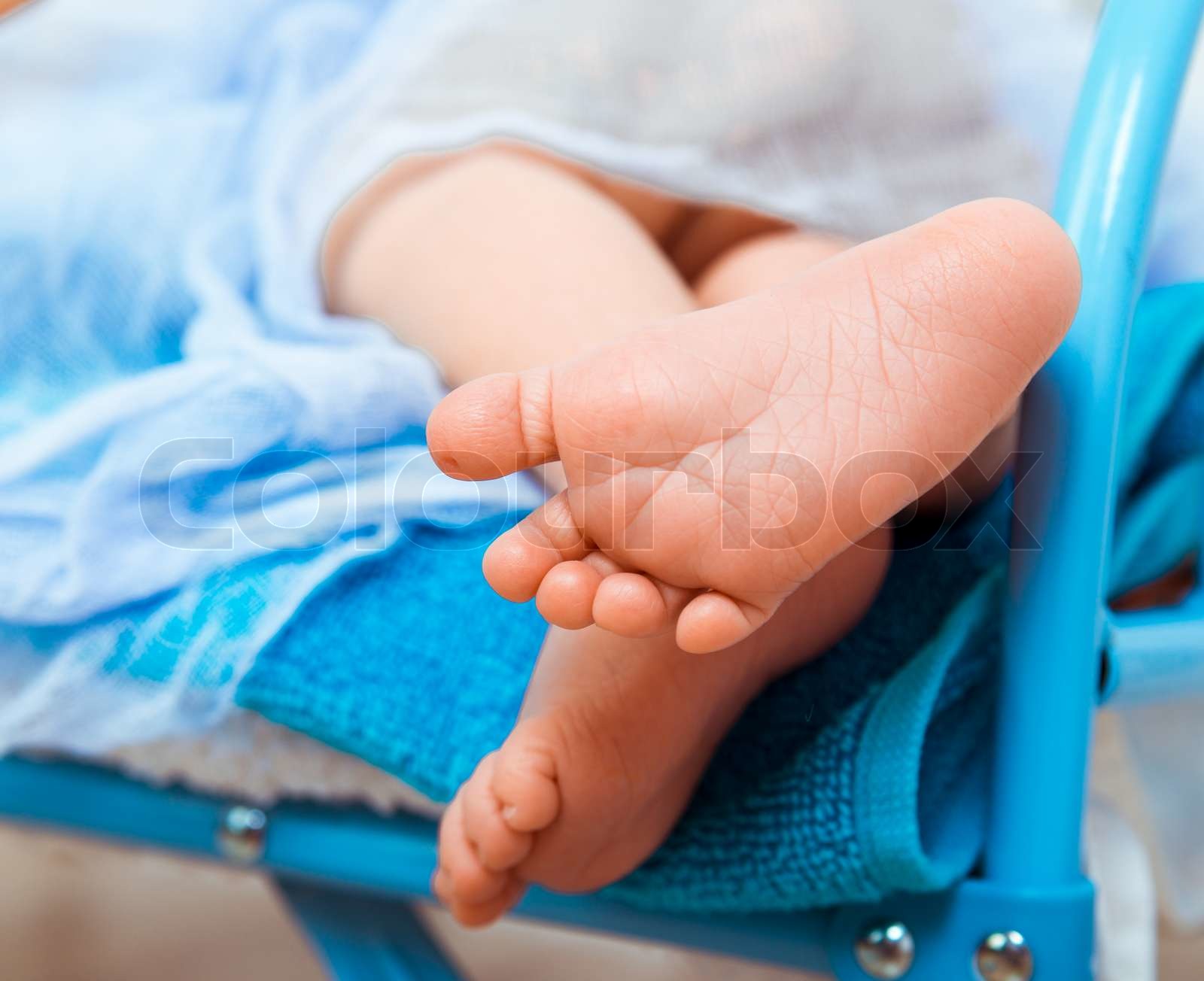 Legs newborn baby | Stock image | Colourbox