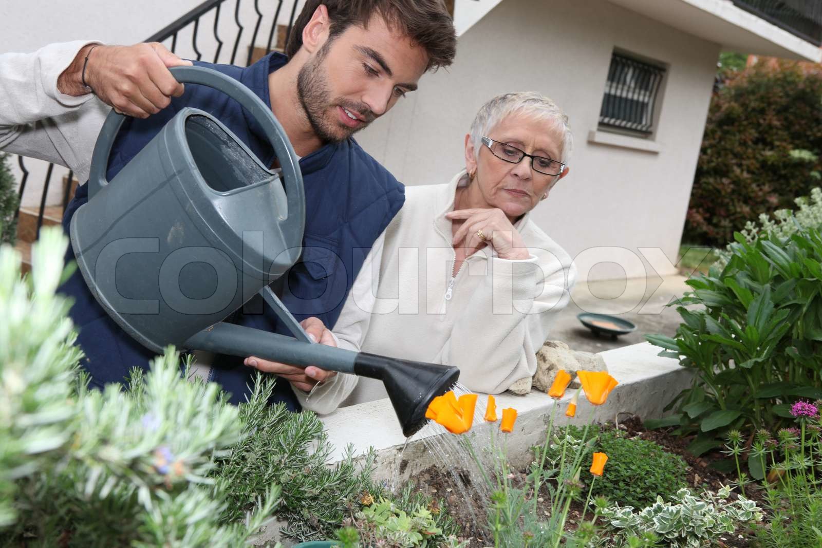 Man watering plants | Stock image | Colourbox