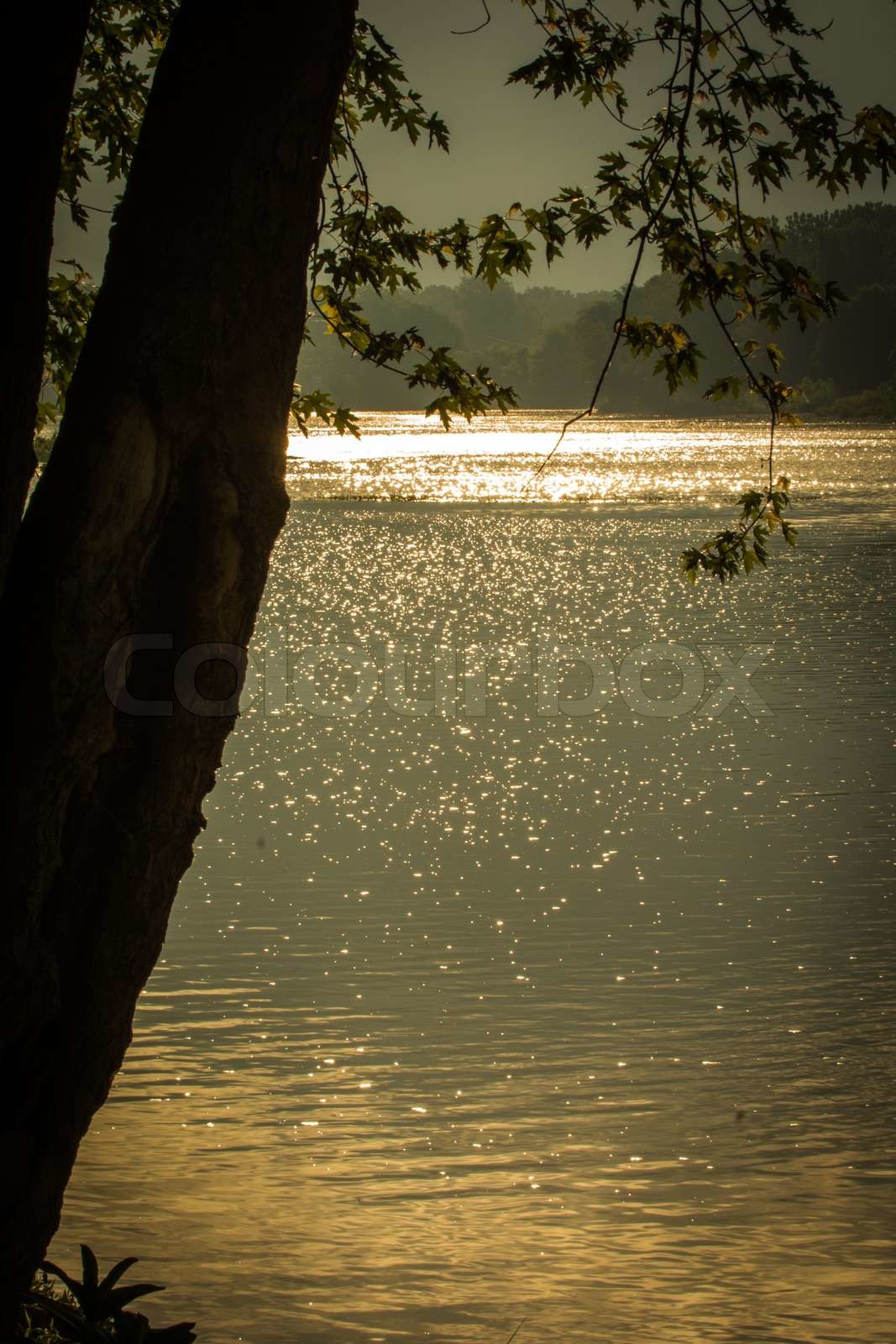 River Bank | Stock image | Colourbox