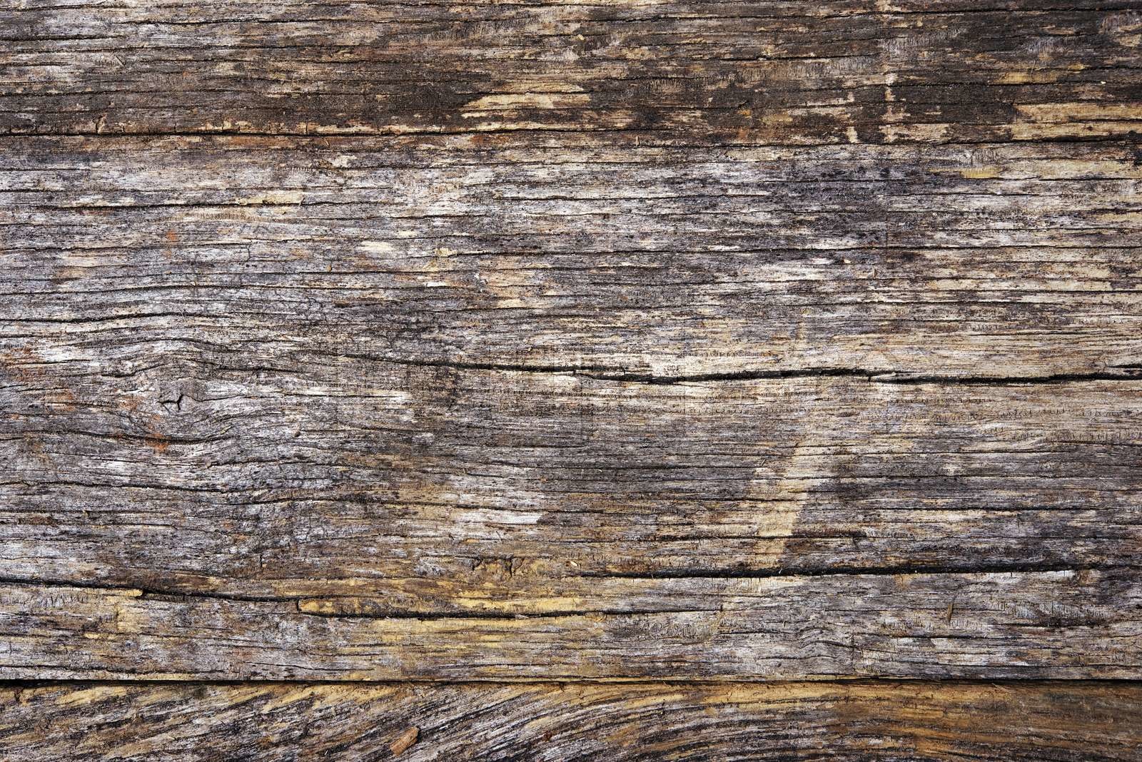 Aged Wood Plank | Stock image | Colourbox