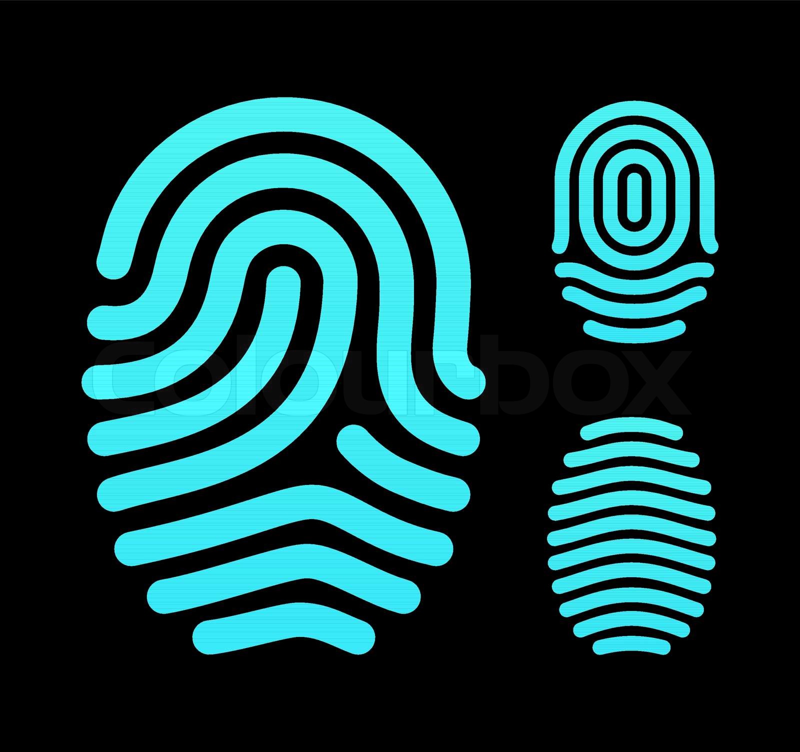 Fingerprint Types Loop Whorl And Arch Stock Vector Colourbox