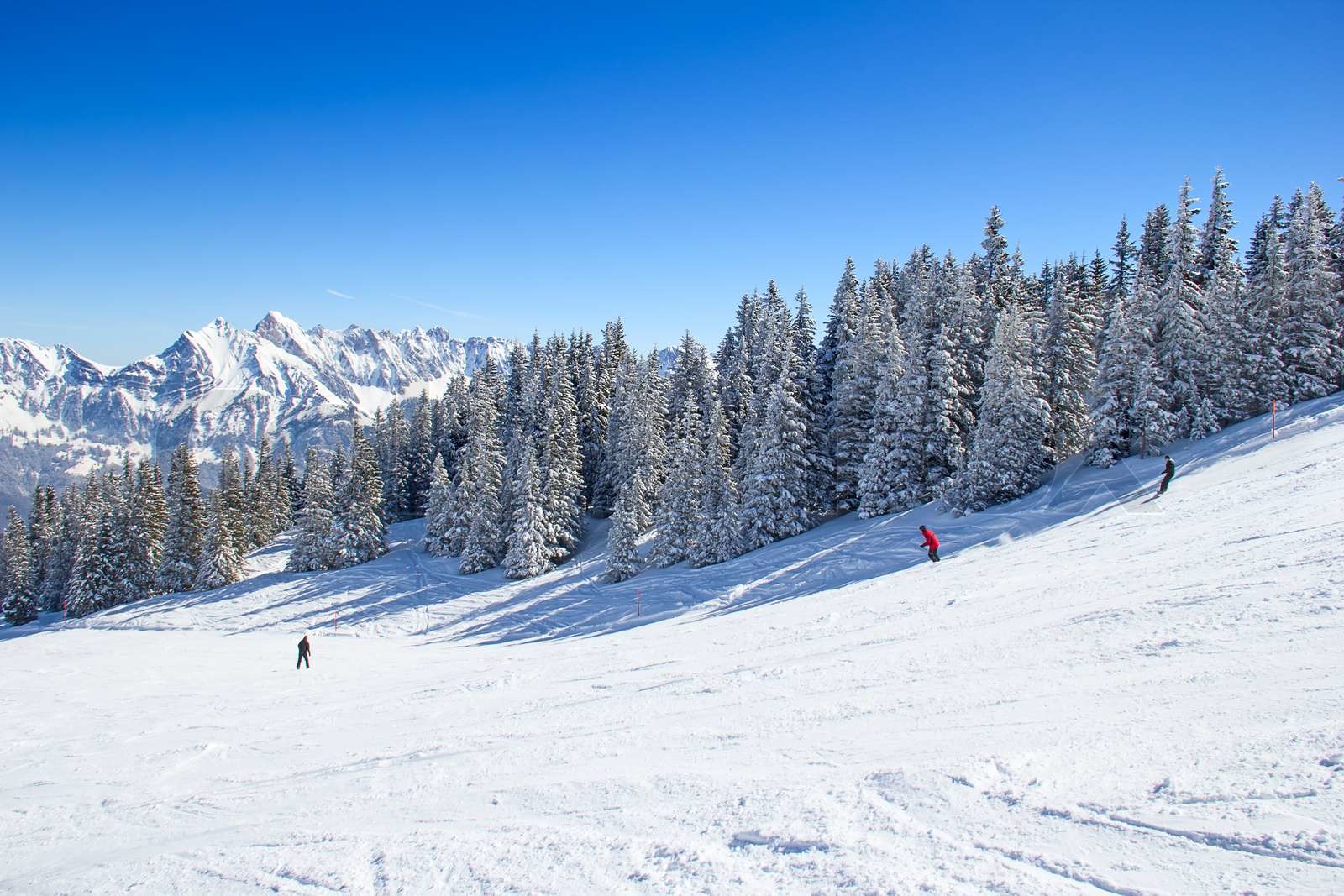 Skiing slope | Stock image | Colourbox
