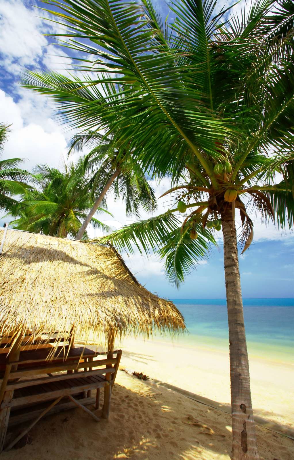 tropical hut | Stock image | Colourbox