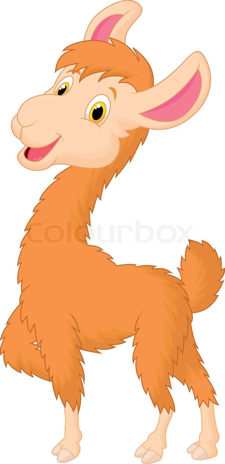 Happy llama cartoon | Stock vector | Colourbox