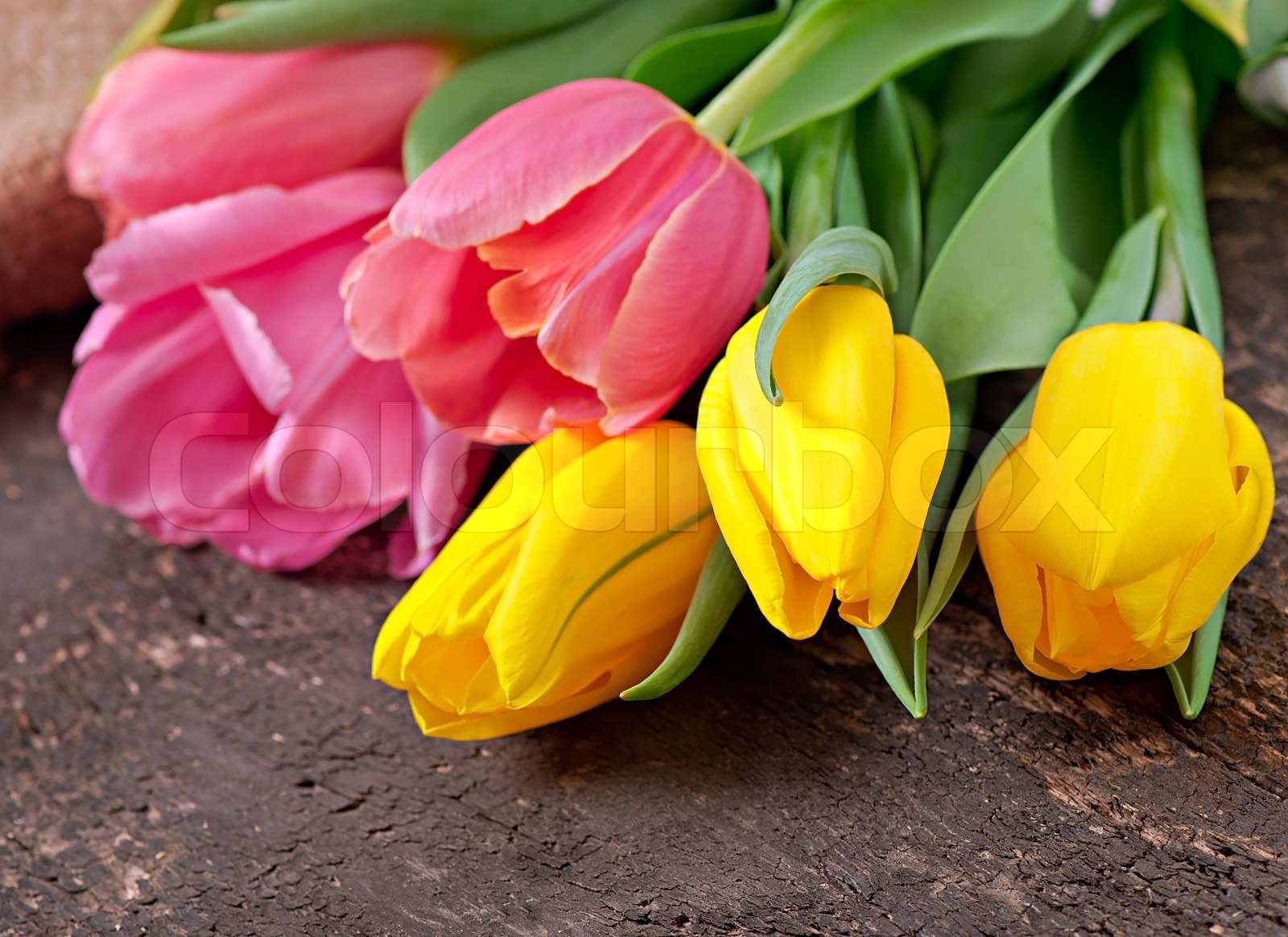 Strauß Tulpen auf alten hölzernen Hintergrund | Stock Bild | Colourbox