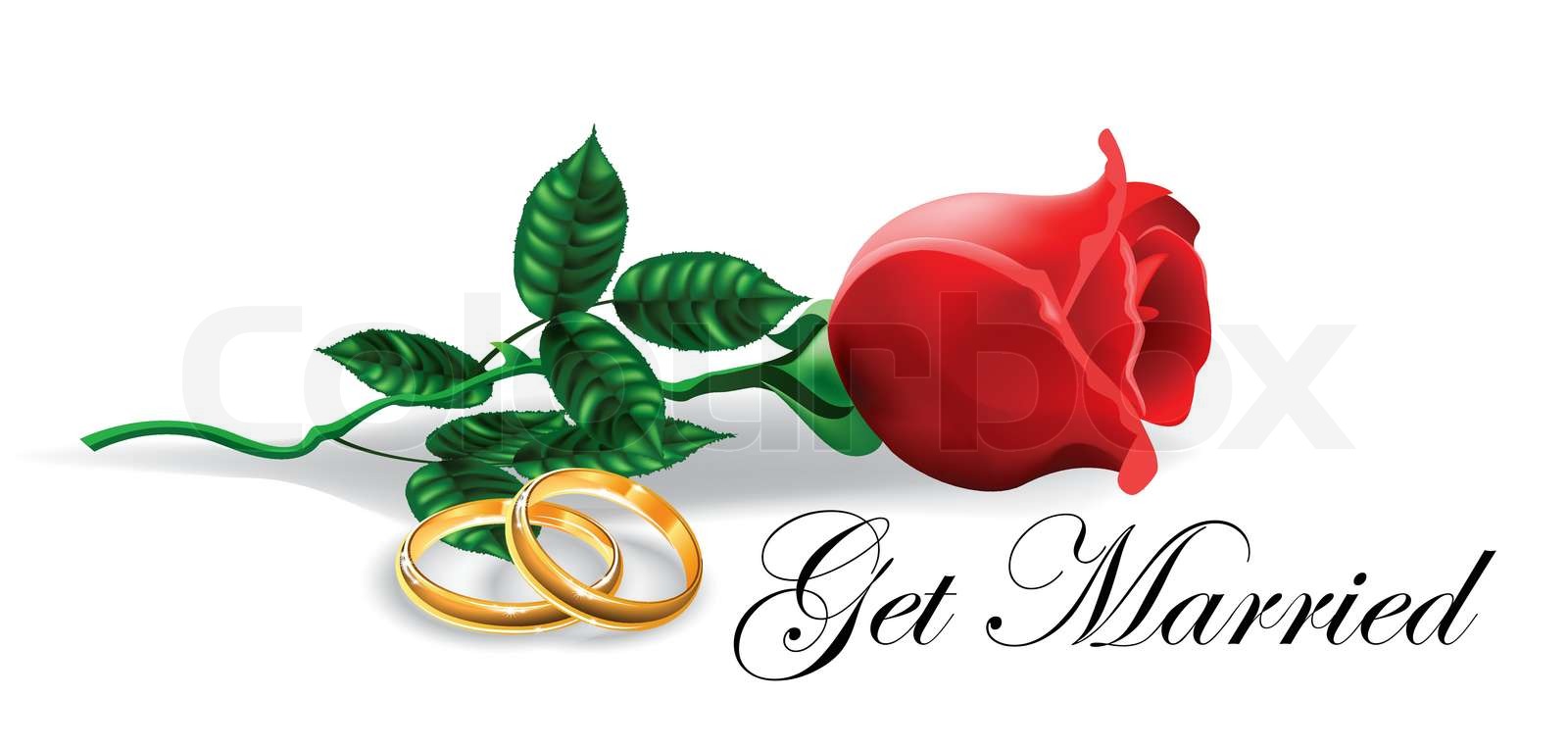 Rings and Rose Vector | Stock vector | Colourbox