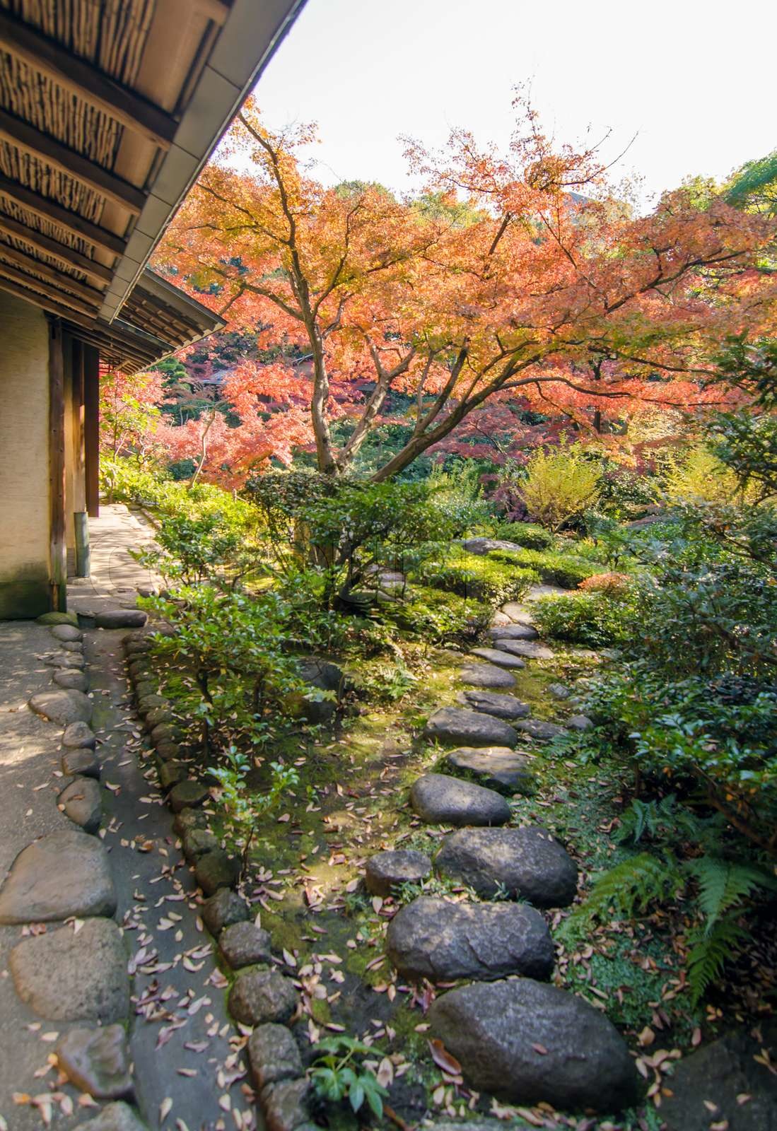 Stone walkway in traditional Japanese garden | Stock image | Colourbox