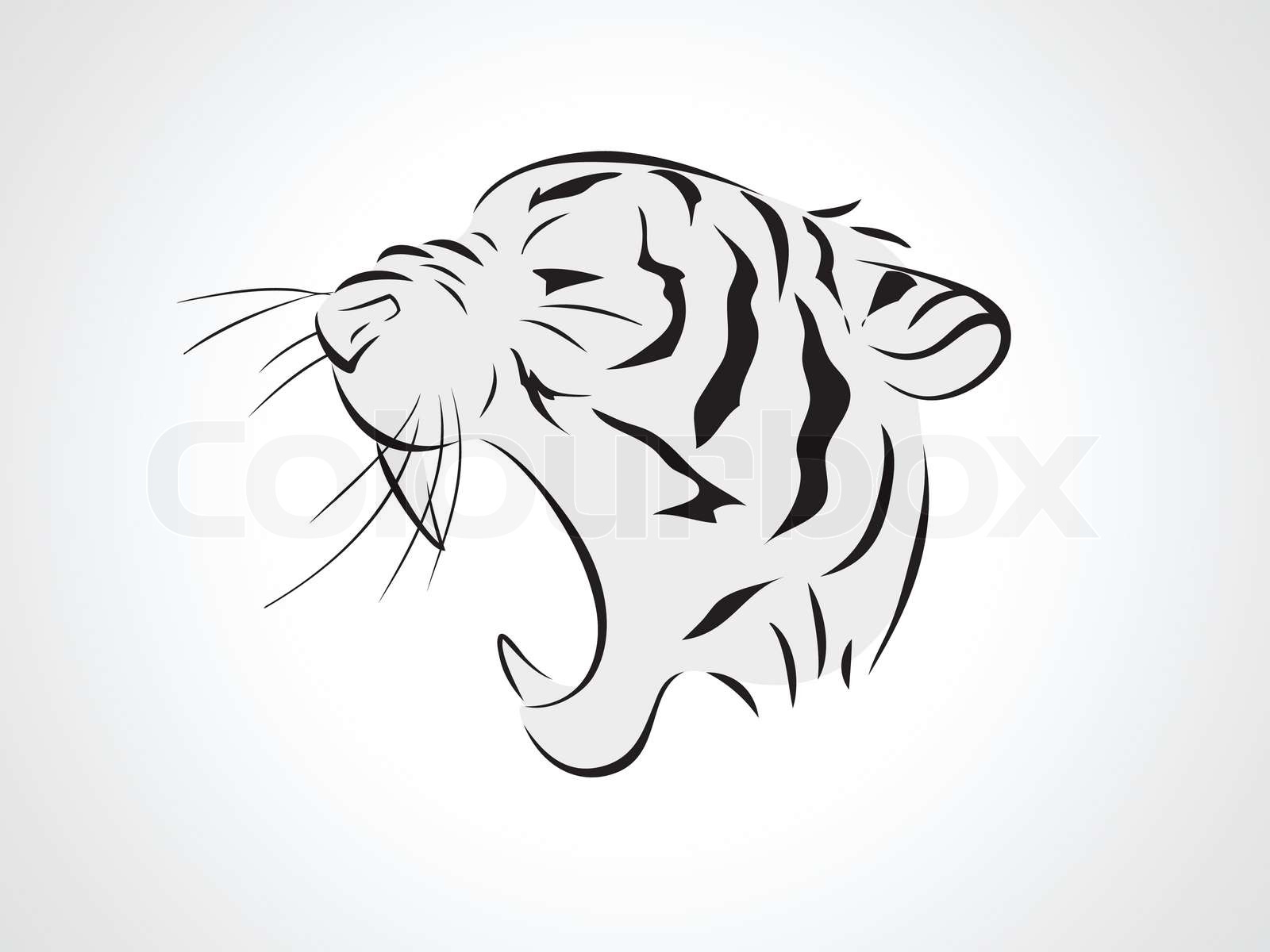 tiger | Stock vector | Colourbox