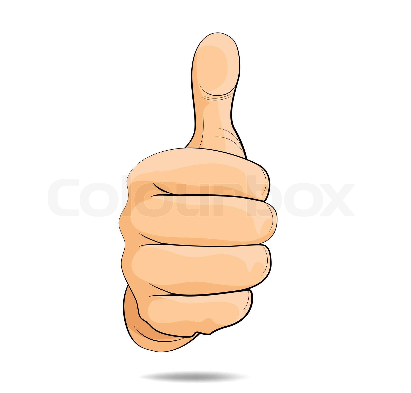 Thumb Finger Vector | Stock vector | Colourbox