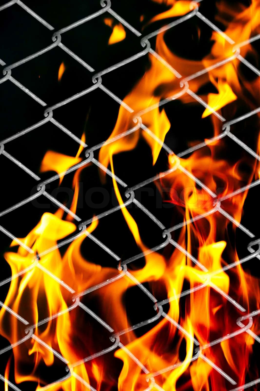 fire in a metal grid | Stock image | Colourbox
