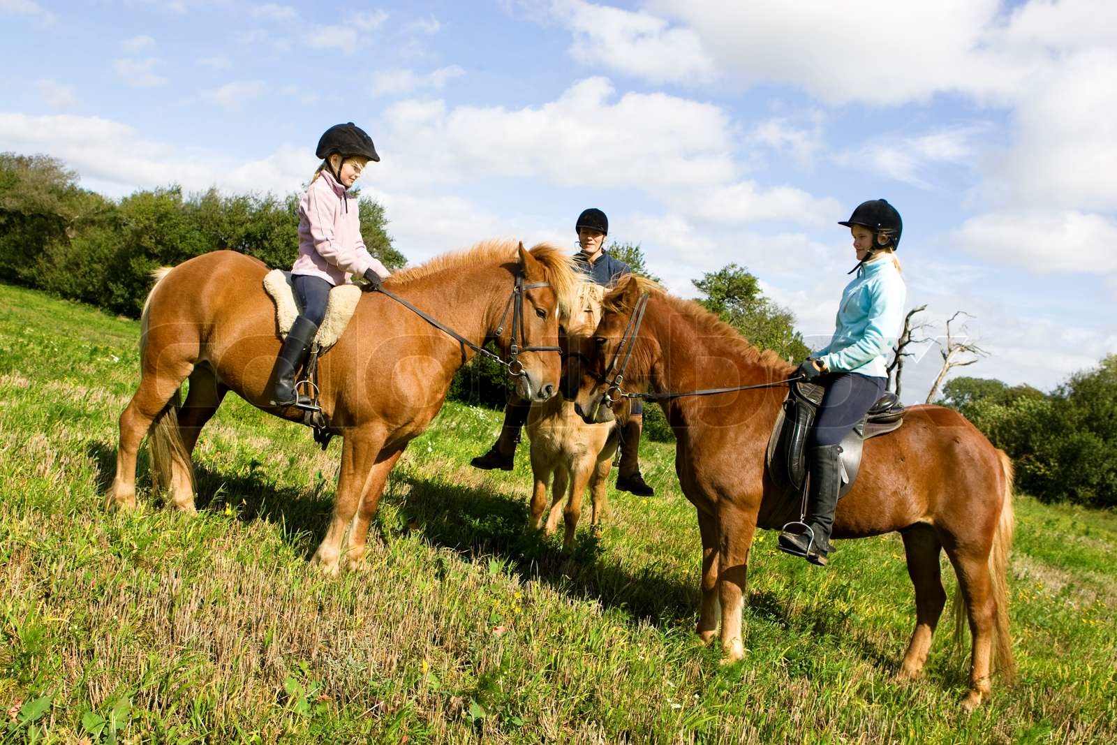 Three girls riding horses | Stock image | Colourbox