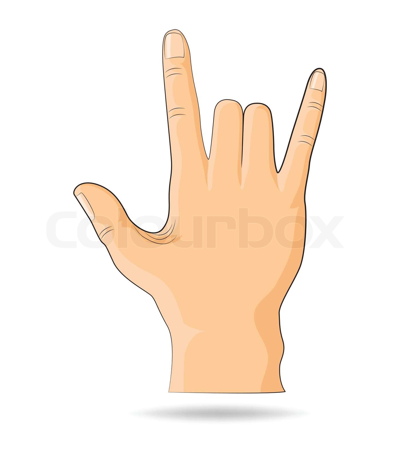 Finger Vector | Stock vector | Colourbox