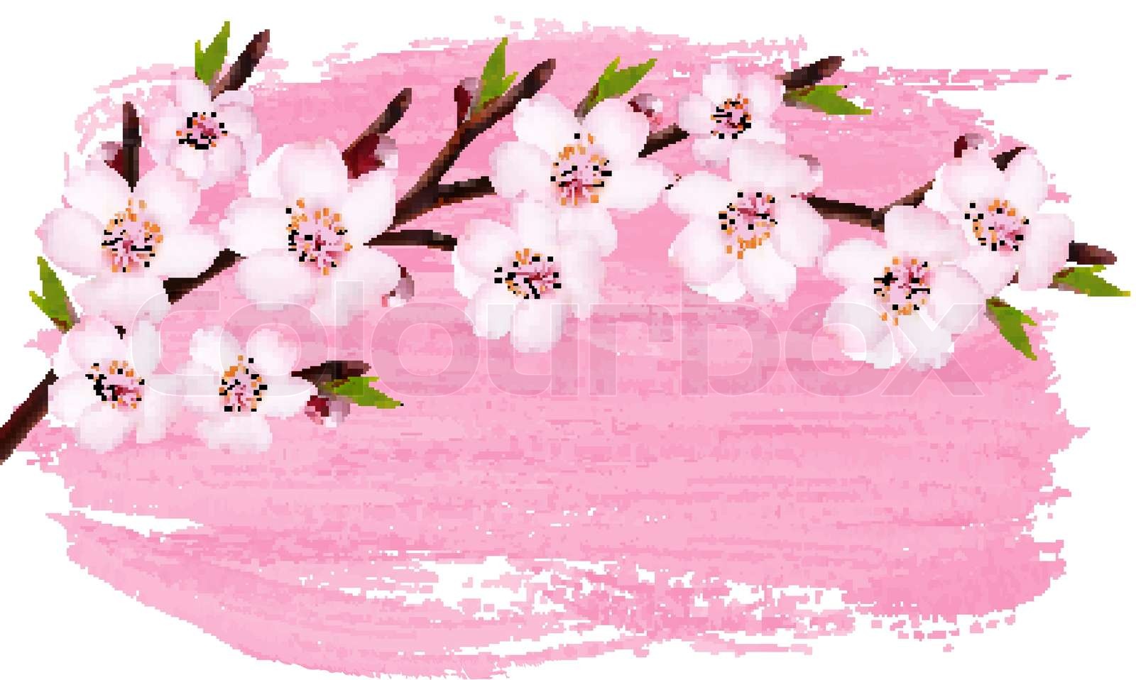 Pink paint sakura branch banner. Vector. | Stock vector | Colourbox