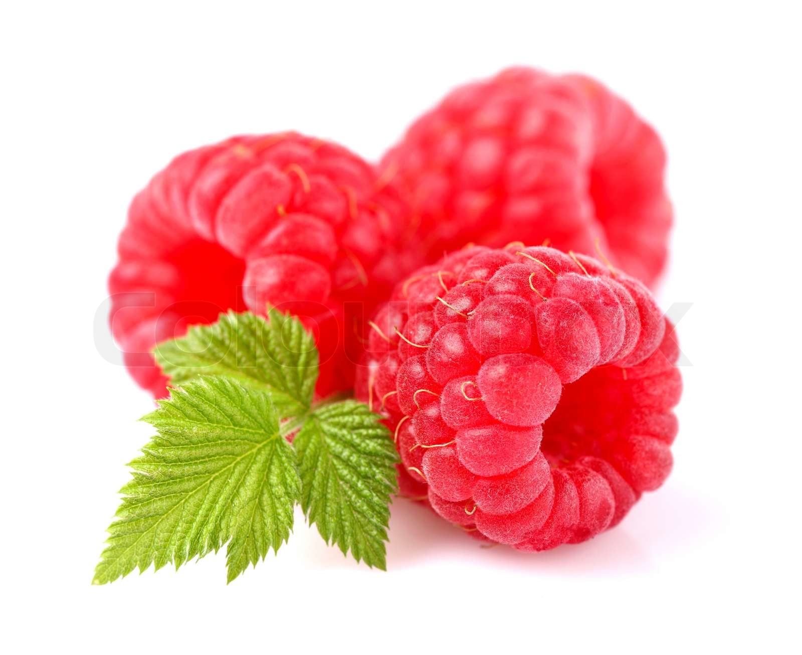 Himbeere auf weißem Hintergrund | Stock Bild | Colourbox