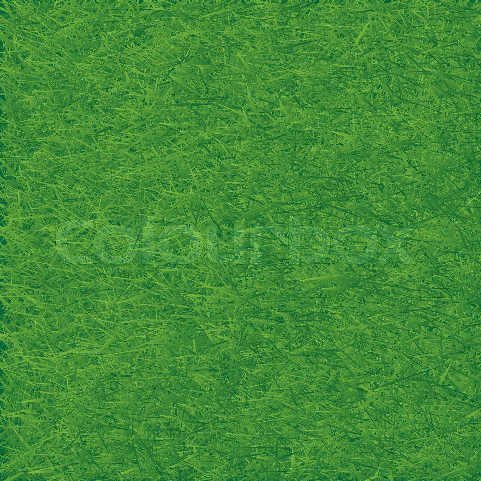 Green grass field. Seamless vector. | Stock vector | Colourbox