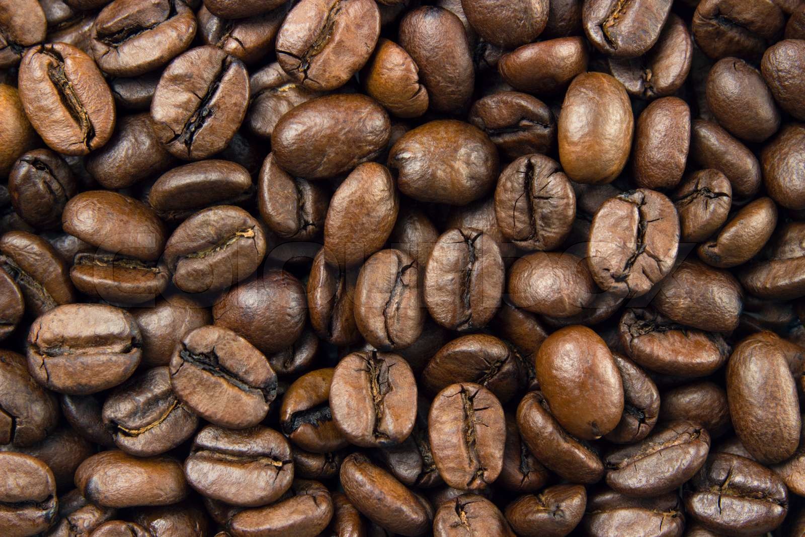 coffee back | Stock image | Colourbox