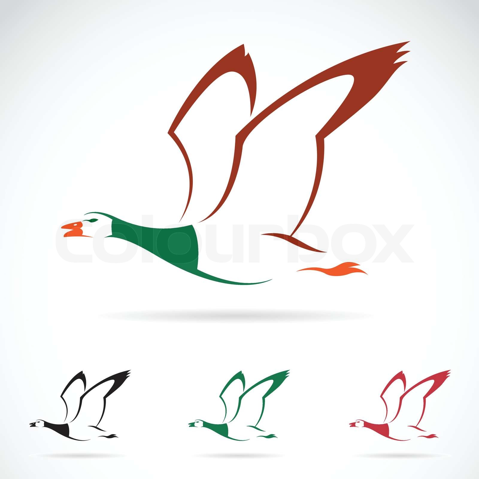 Vector image of an flying wild duck | Stock vector | Colourbox