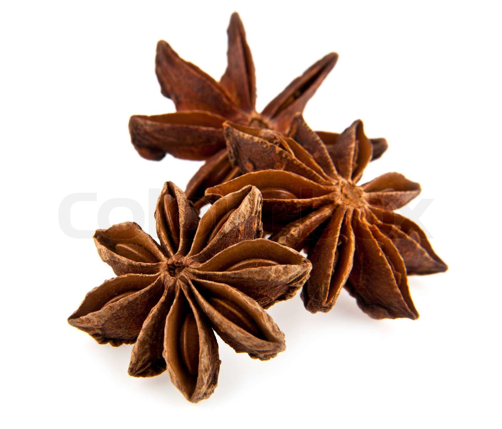 star anise | Stock image | Colourbox