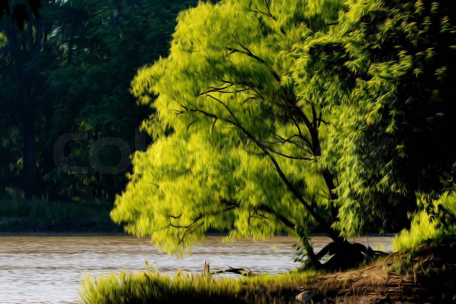 River Bank Tree | Stock image | Colourbox