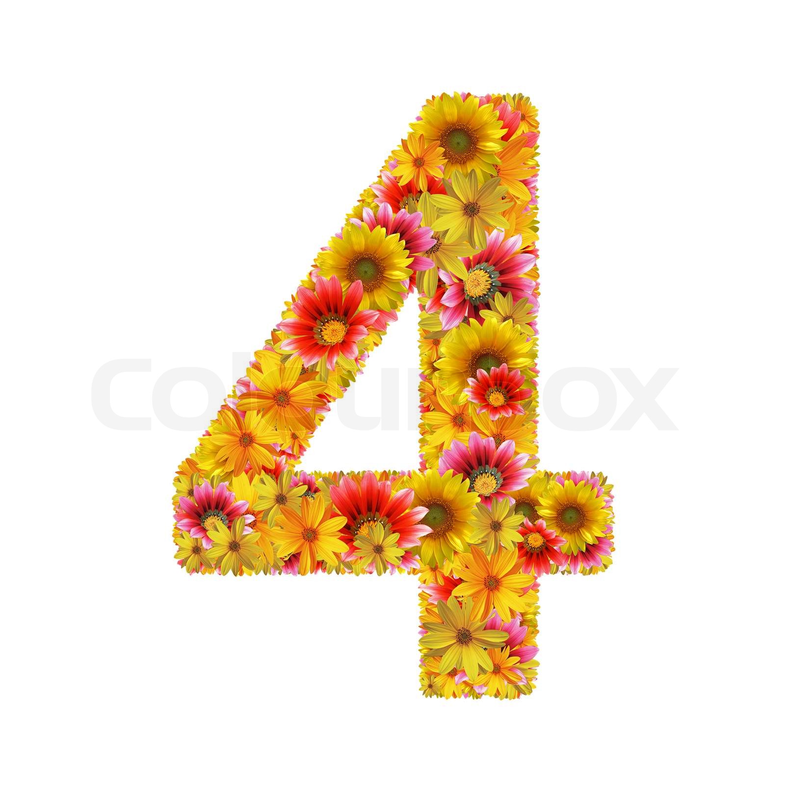 flowers number four | Stock image | Colourbox
