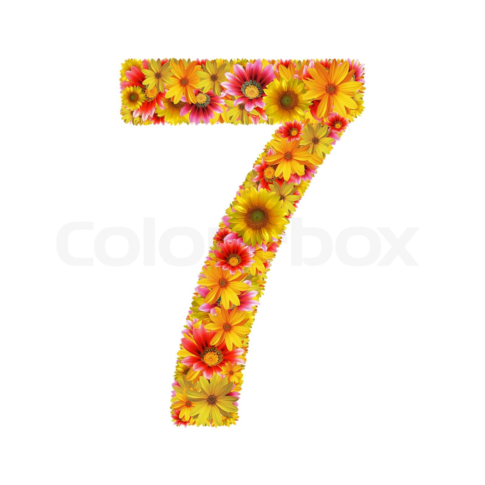 flowers number seven | Stock image | Colourbox