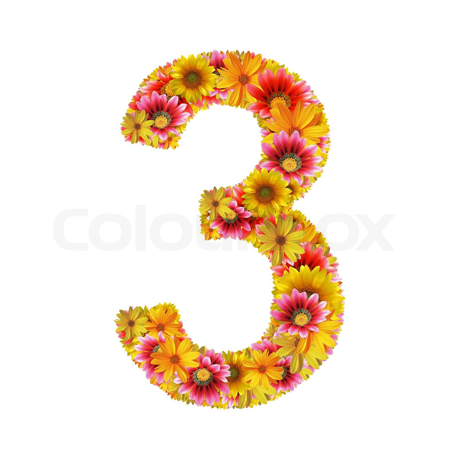 flowers number three | Stock image | Colourbox
