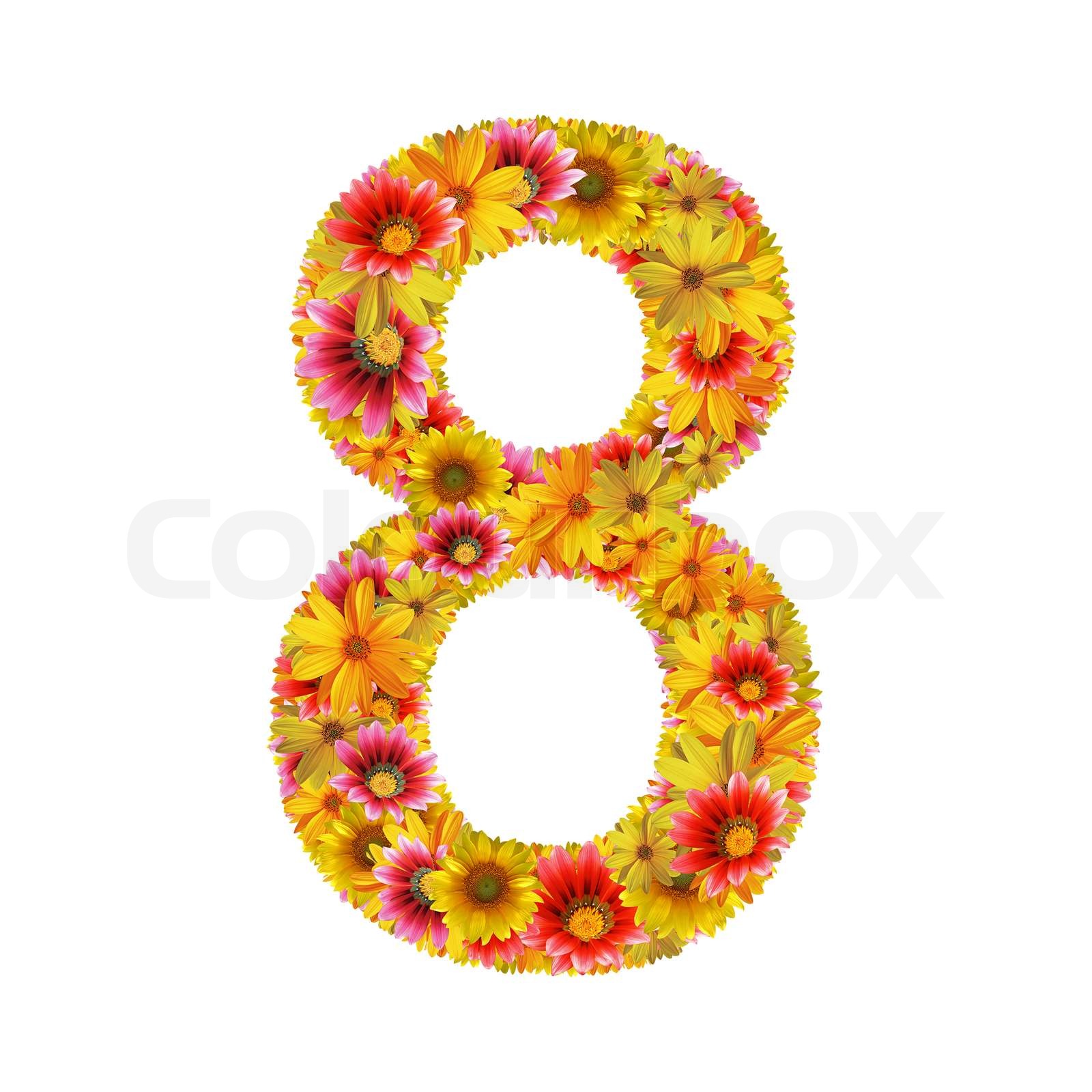 flowers number eight | Stock image | Colourbox