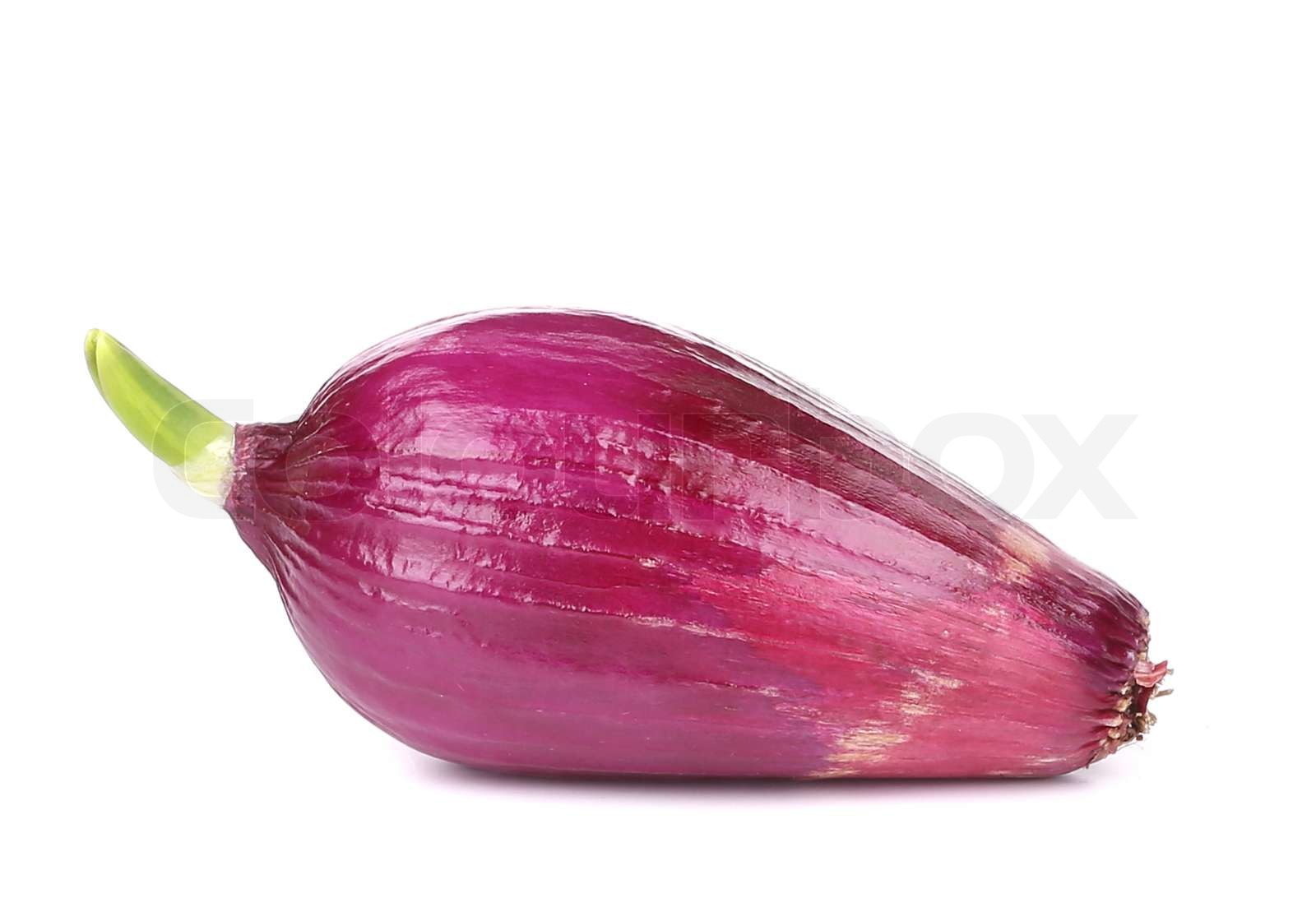 One red onion peeled. | Stock image | Colourbox