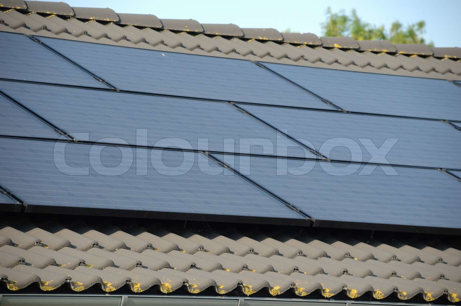 Solar panels | Stock image | Colourbox