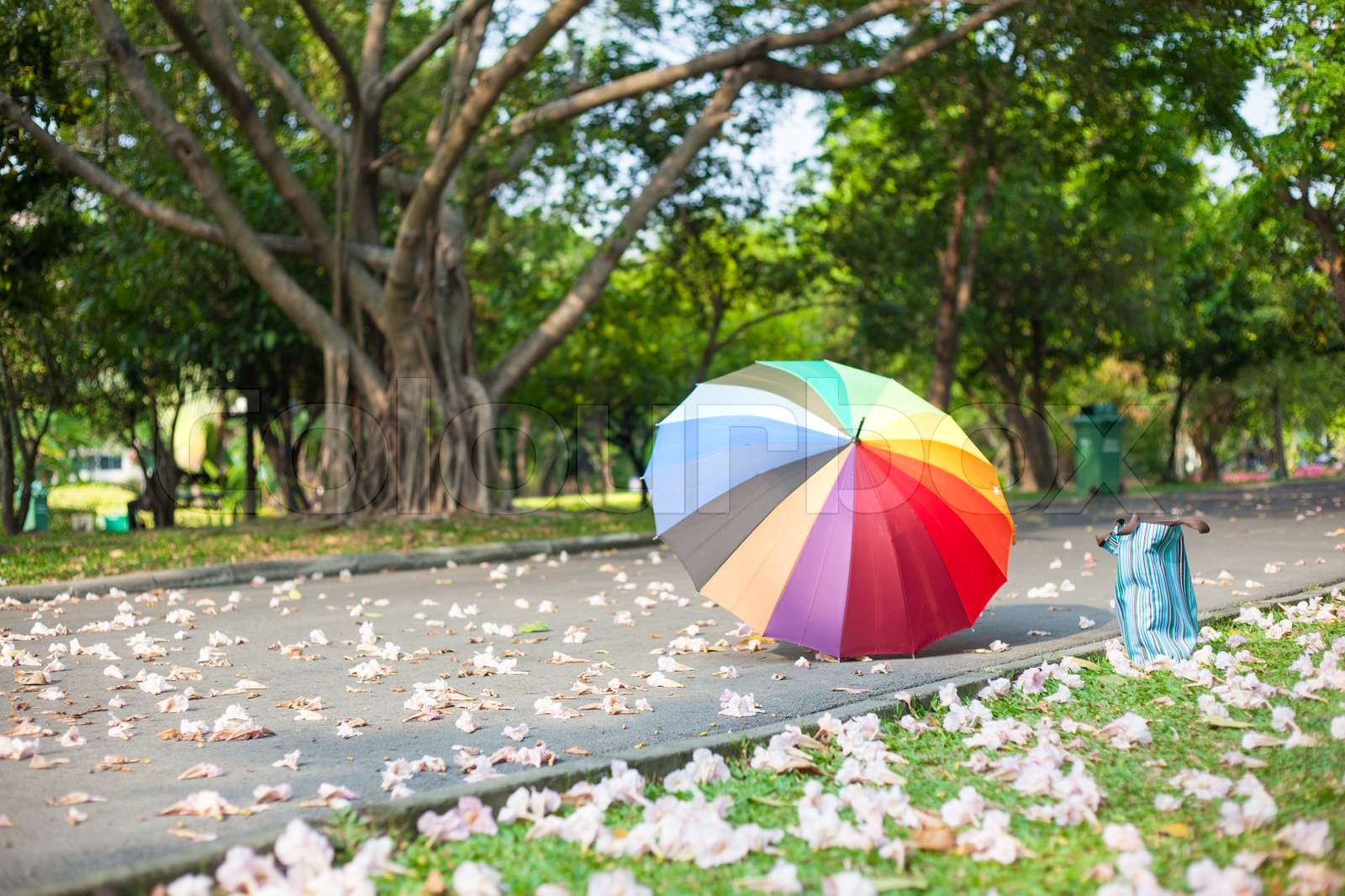 umbrella on walkway | Stock image | Colourbox