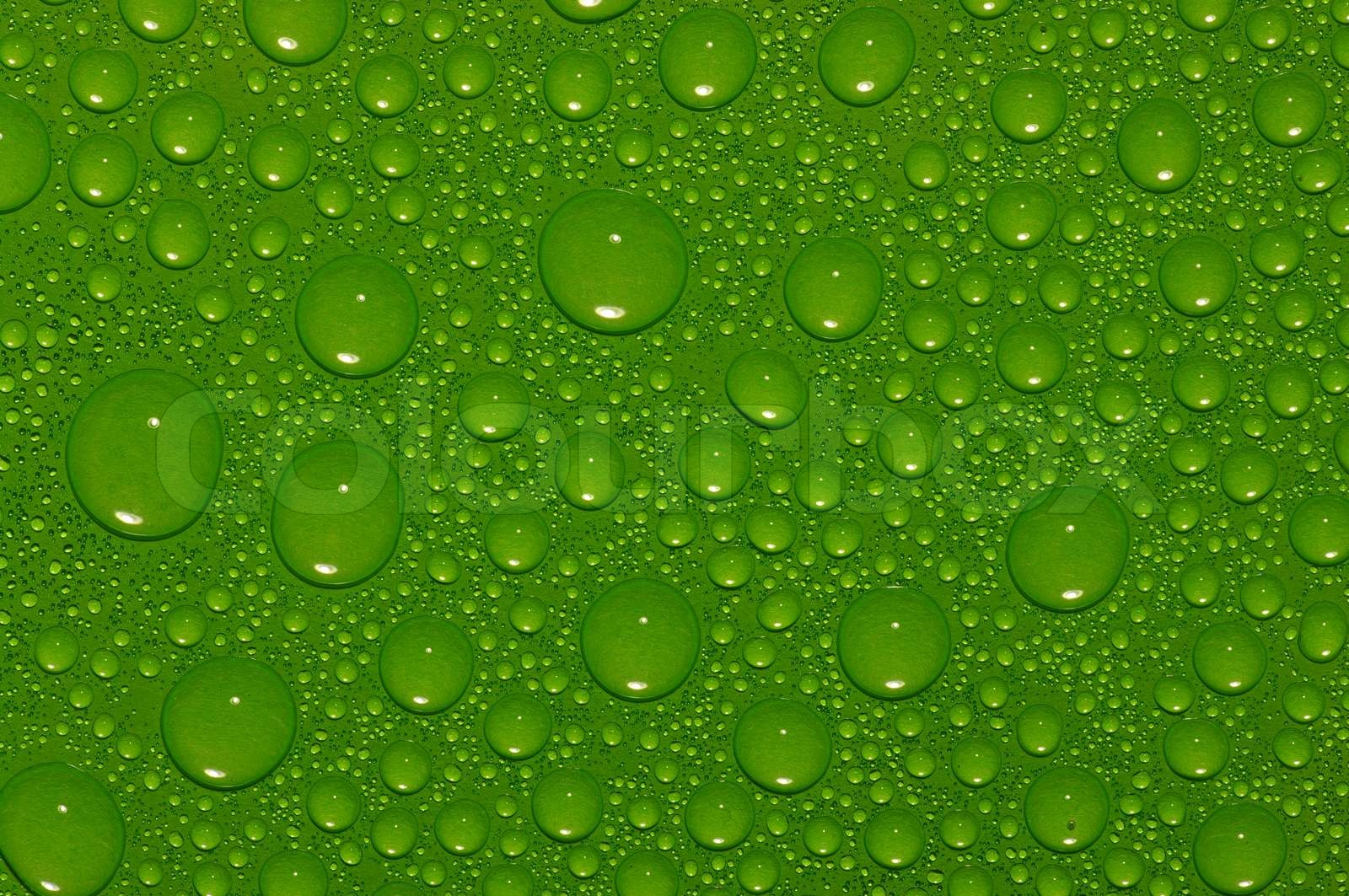 green drops | Stock image | Colourbox