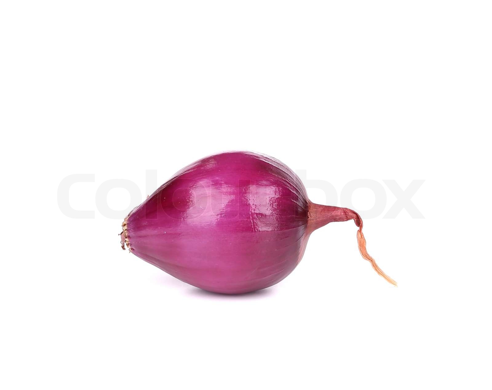 Red-violet onion bulb. | Stock image | Colourbox