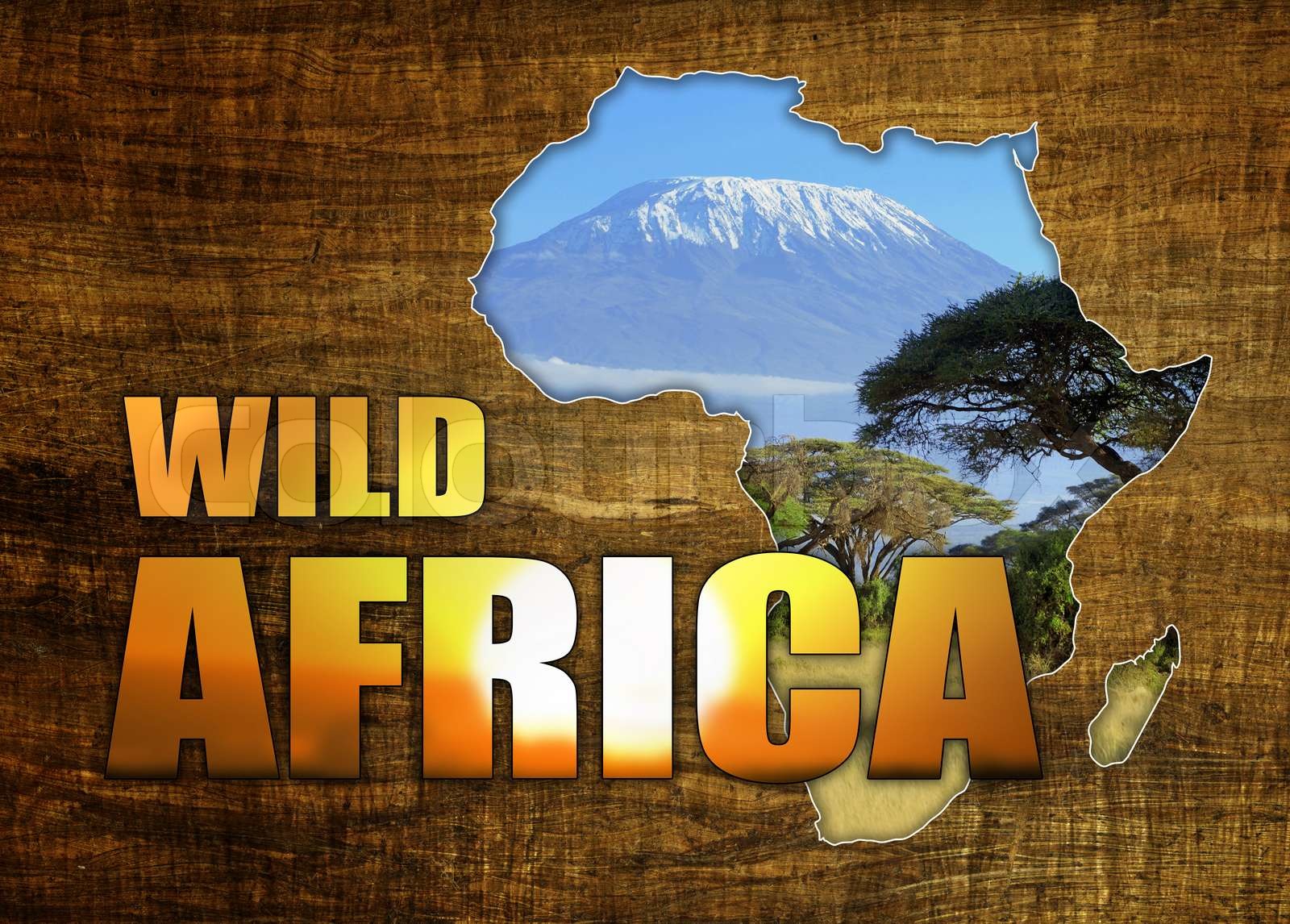 Africa Wildlife Map Design | Stock image | Colourbox