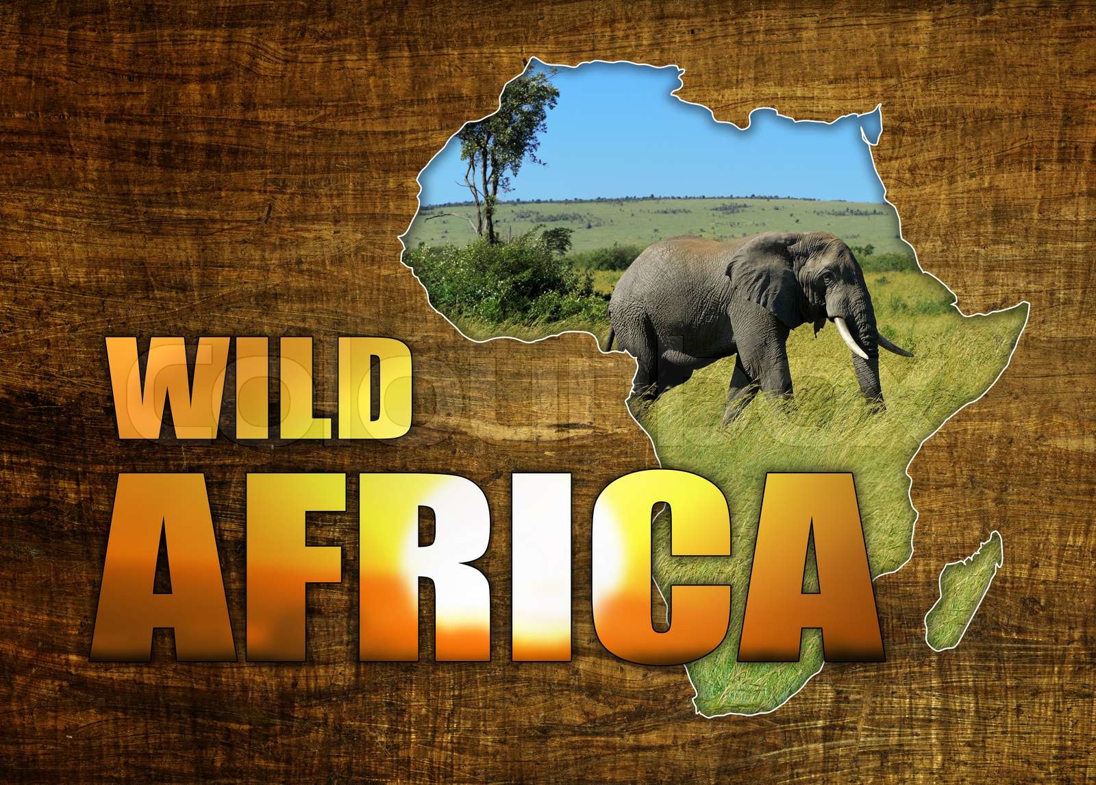 Africa Wildlife Map Design | Stock image | Colourbox