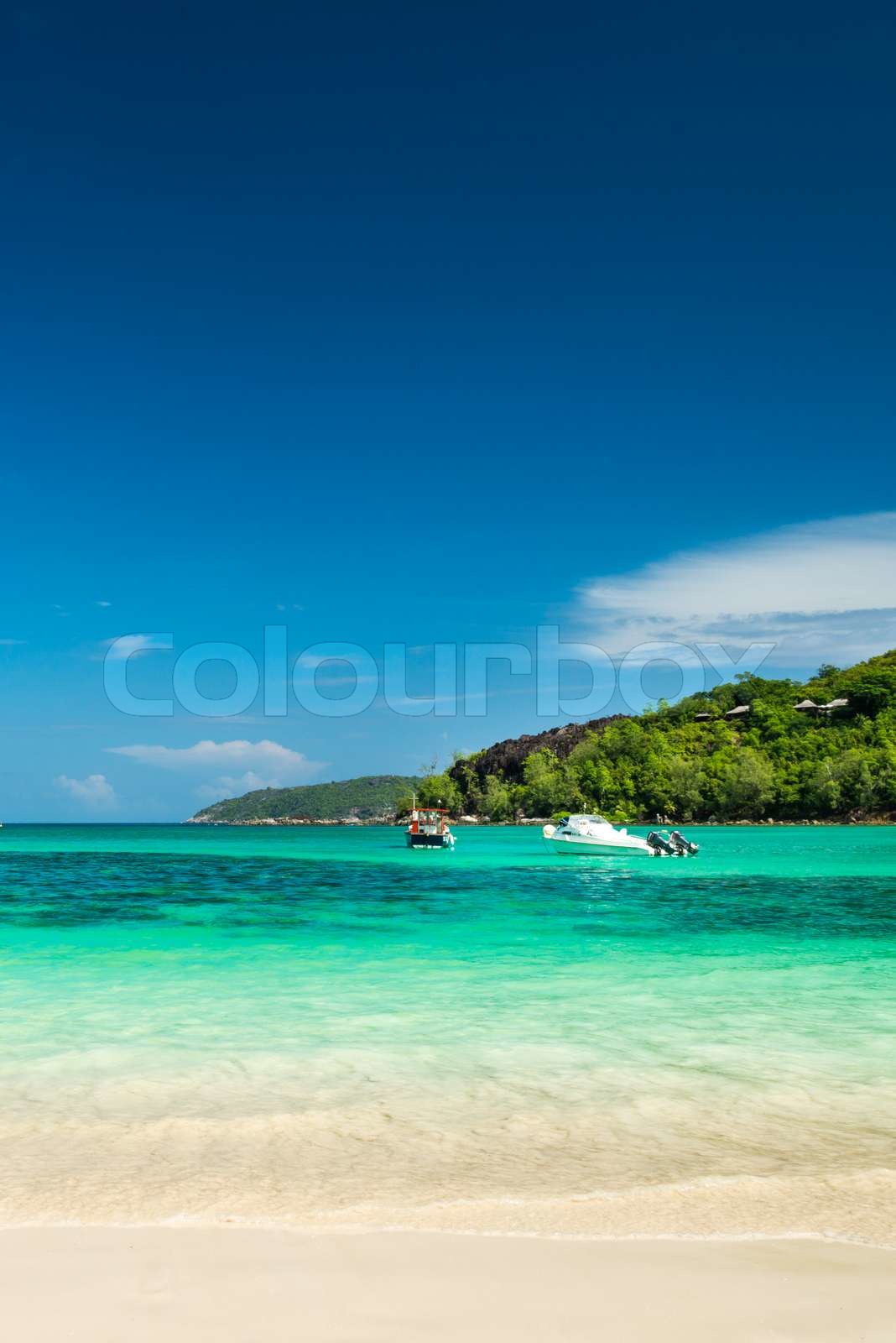 Tropical Beach Stock Image Colourbox