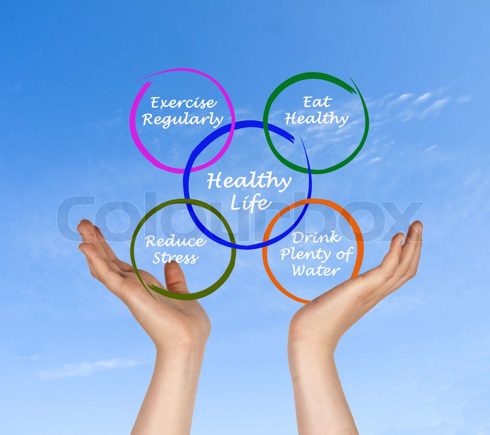 Diagram of healthy life | Stock image | Colourbox