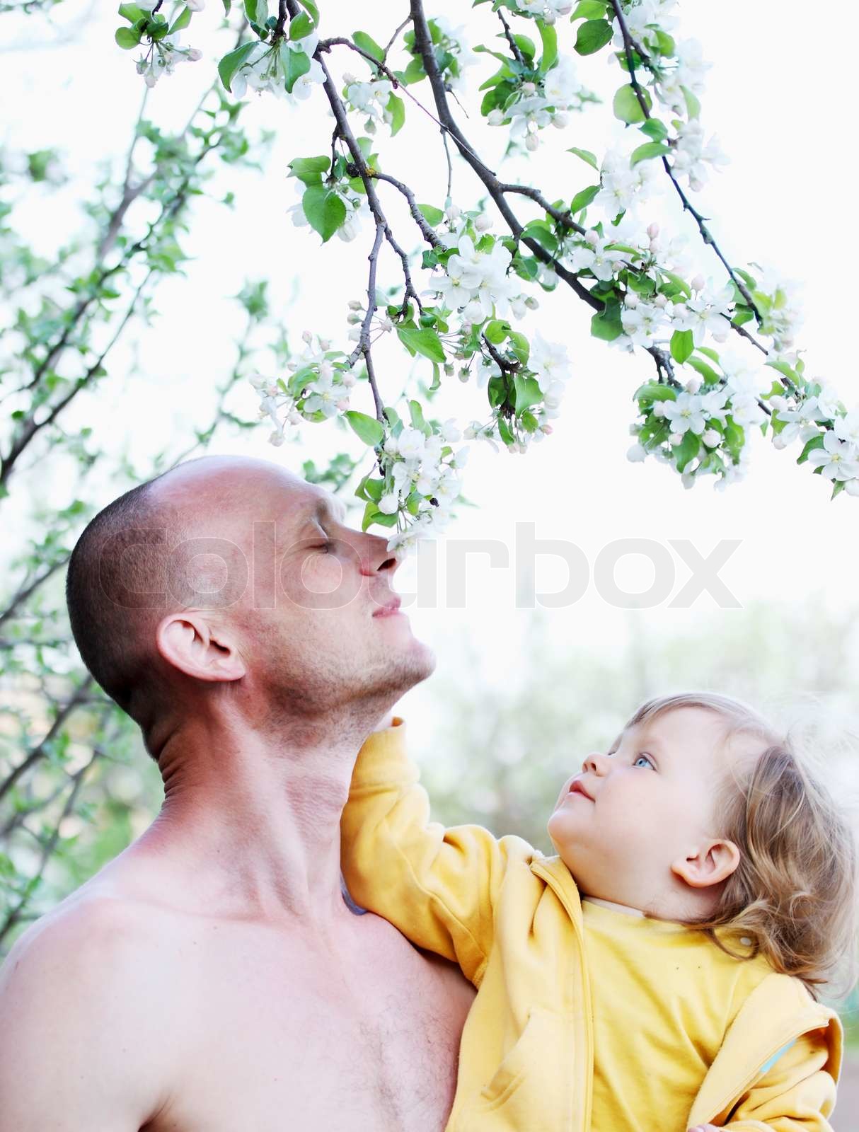 Dad and daughter sniffing flowers | Stock image | Colourbox