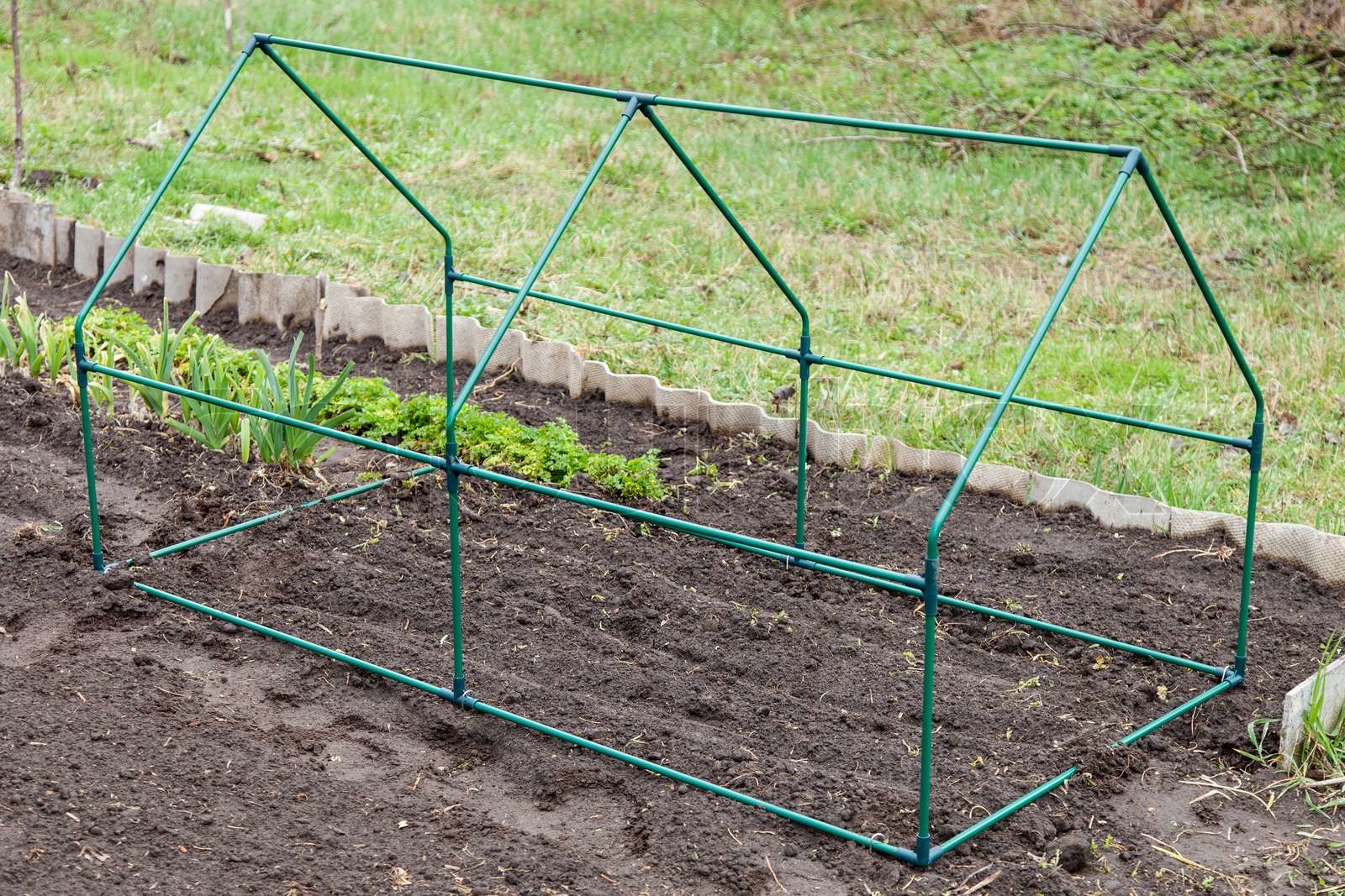 Frame Mini Greenhouse Stock Image Colourbox