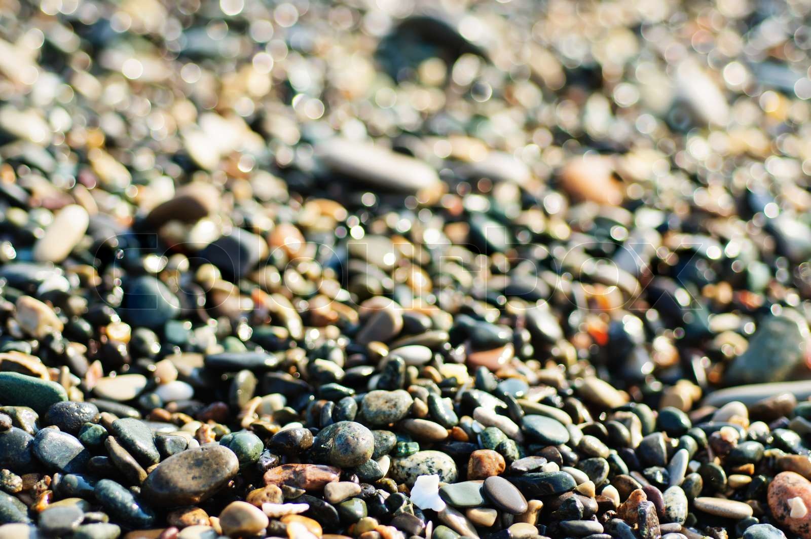 Sea pebble | Stock image | Colourbox