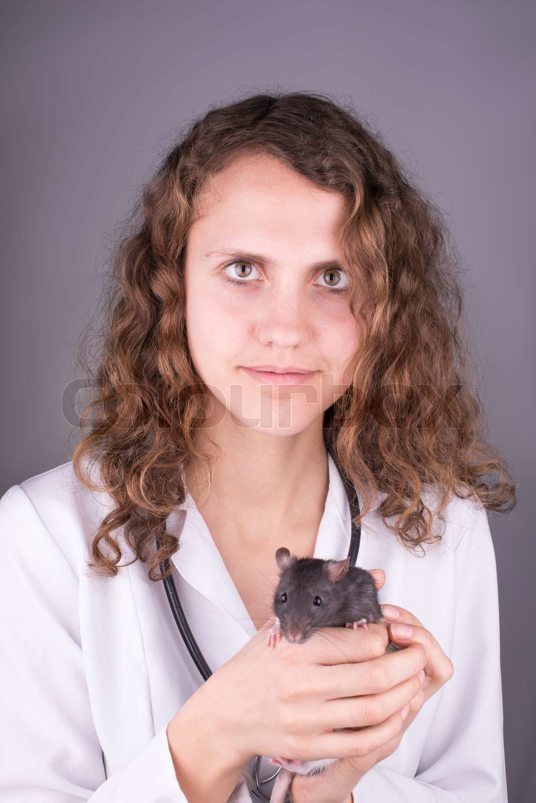 laboratory animal research rat | Stock image | Colourbox