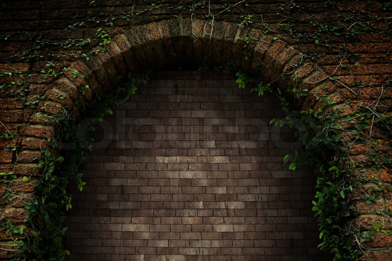 Castle gate. | Stock image | Colourbox