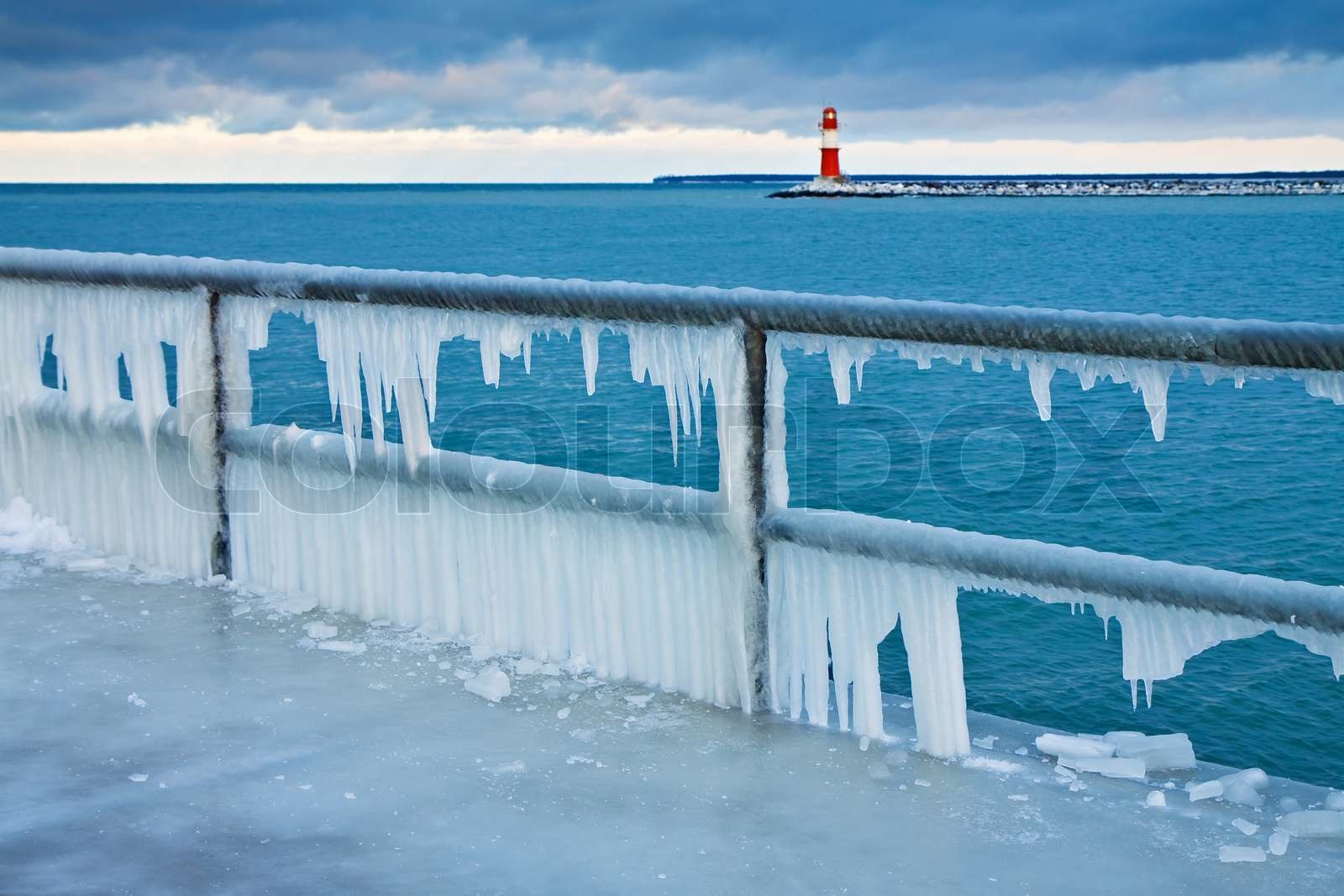 Mole im Winter | Stock image | Colourbox