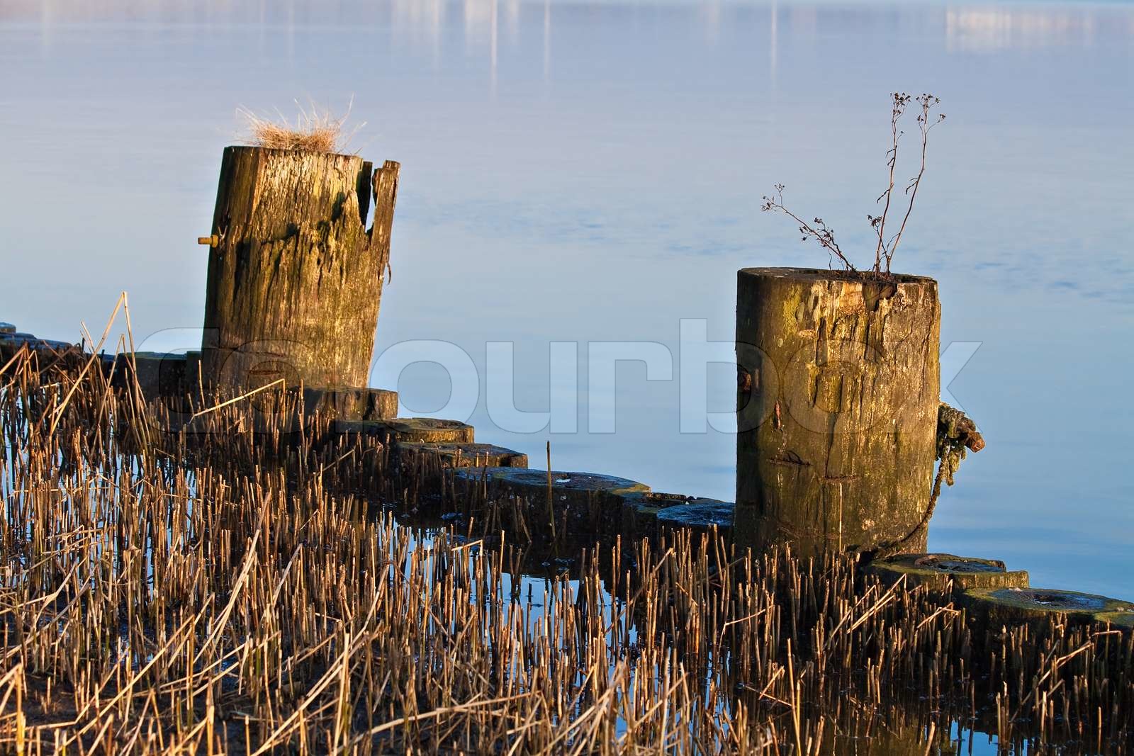 Am Ufer | Stock image | Colourbox