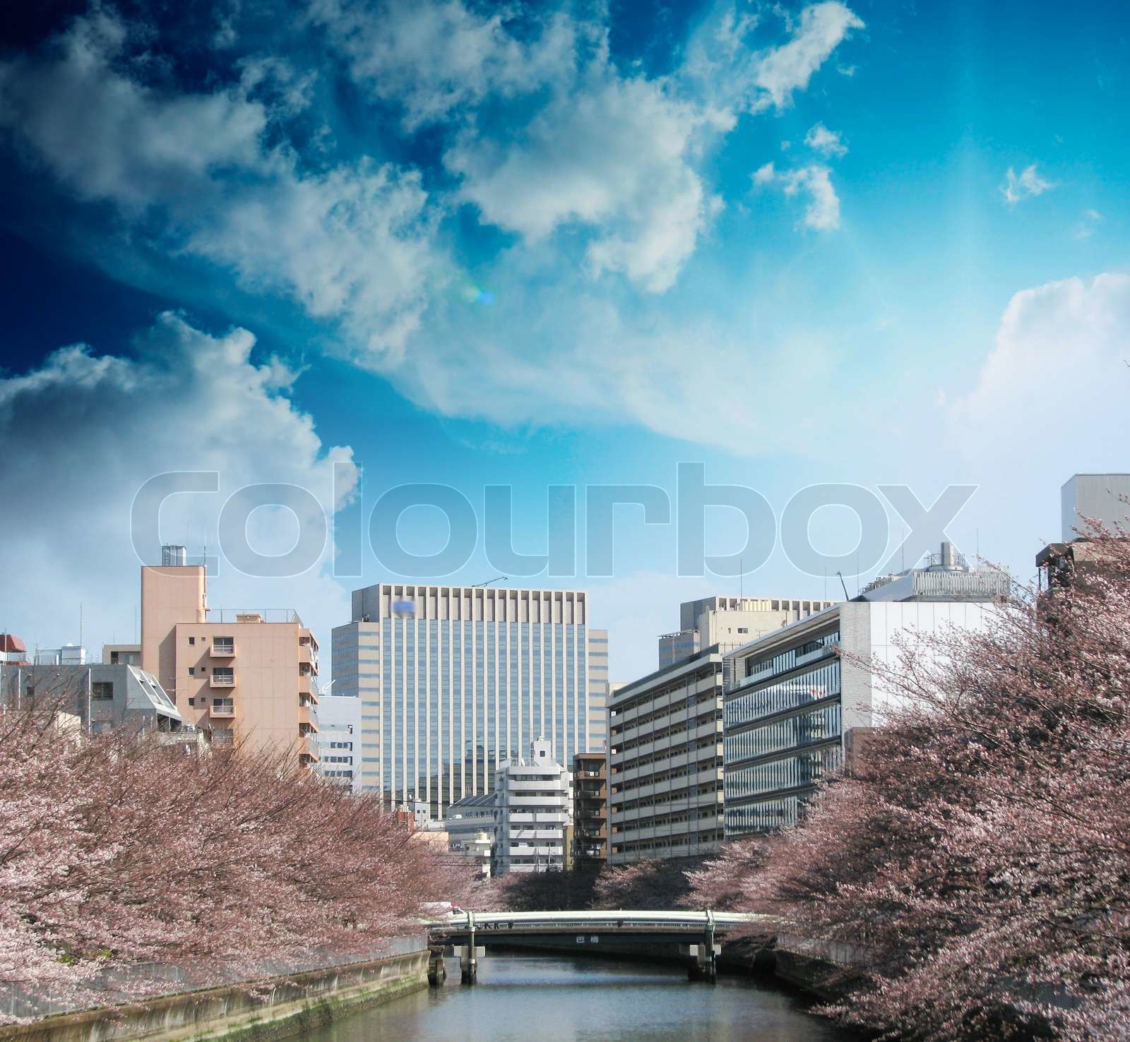 Skyline of Tokyo with vegetation and river, Japan | Stock image | Colourbox