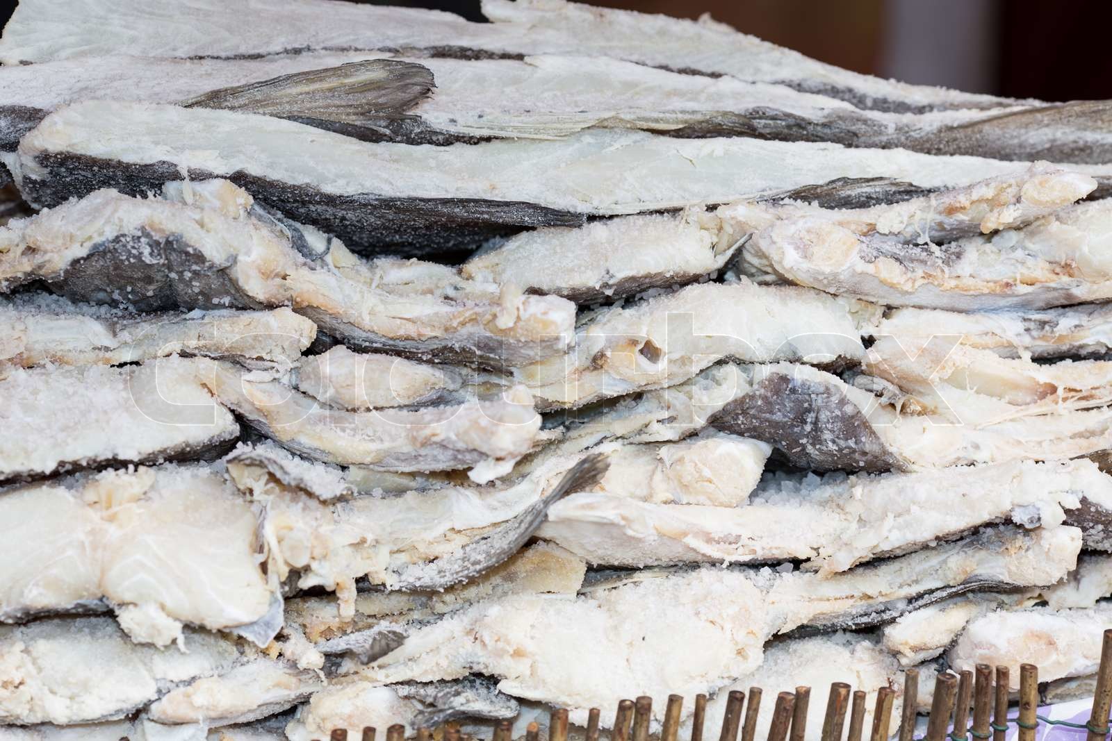 Stockfish | Stock image | Colourbox